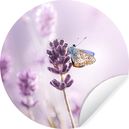 WallCircle - Behangcirkel - Lavendel - Vlinder - Bloemen - Botanisch - Behangcirkel... | bol