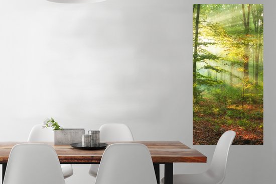 Poster Zon - Bos - Bomen - Natuur - Herfst - 60x120 cm | bol.com