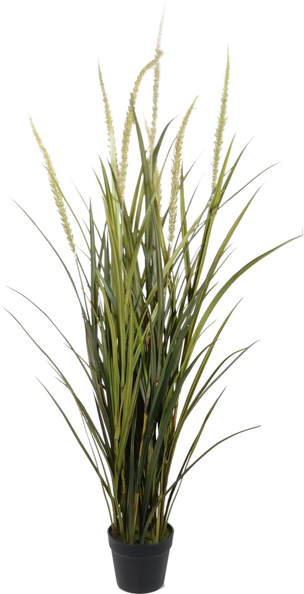 Kopu® Kunstplant Miscanthus 135 cm - 7 pluimen - in zwarte pot | bol.com