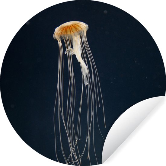 WallCircle - Muurstickers - Behangcirkel - Kwal - Oranje - Zee - 80x80 ...