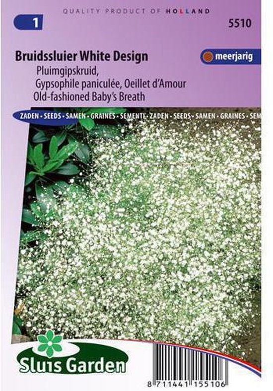 Sluis Garden - Bruidssluier White Design (Gypsophila paniculata) | bol.com