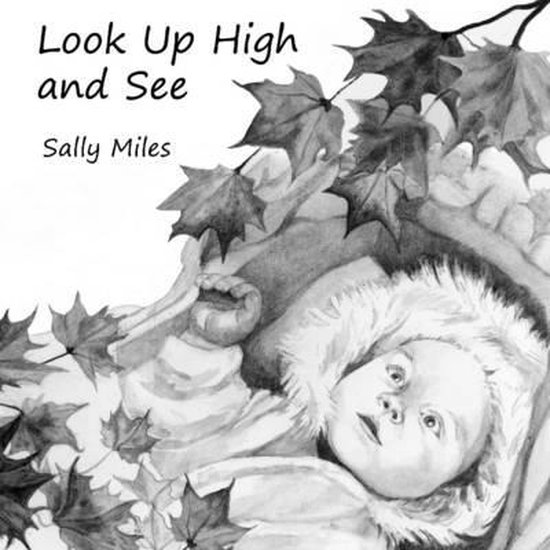 Look Up High and See, Sally Miles | 9781291284003 | Boeken | bol