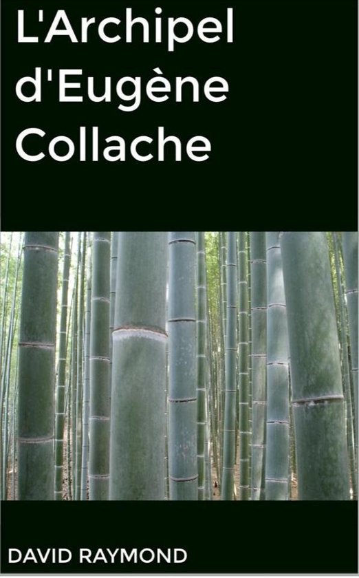 L'Archipel d'Eugène Collache (ebook), David Raymond | 1230002197210 ...