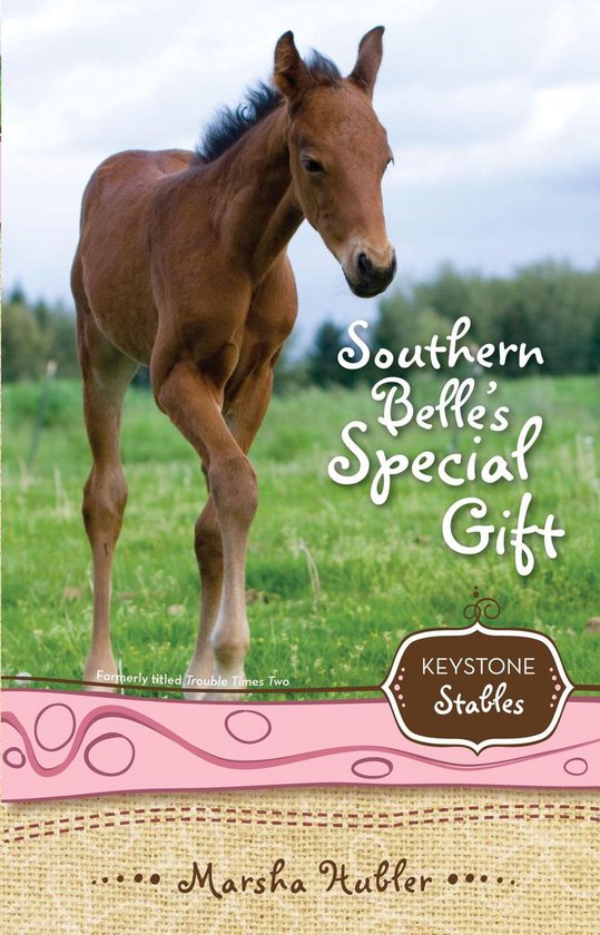 Keystone Stables - Southern Belle's Special Gift (ebook), Marsha Hubler ...