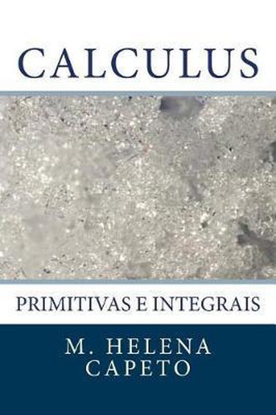 Primitivas E Integrais | 9781543065800 | M Helena Capeto | Boeken | bol