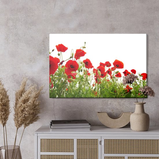 Schilderijkoning - Canvas Schilderij Rode Klaprozen Op Een Witte ...