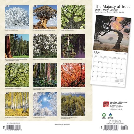 Majesty of Trees, the 2024 Square, Browntrout | 9781975463816 | Boeken ...