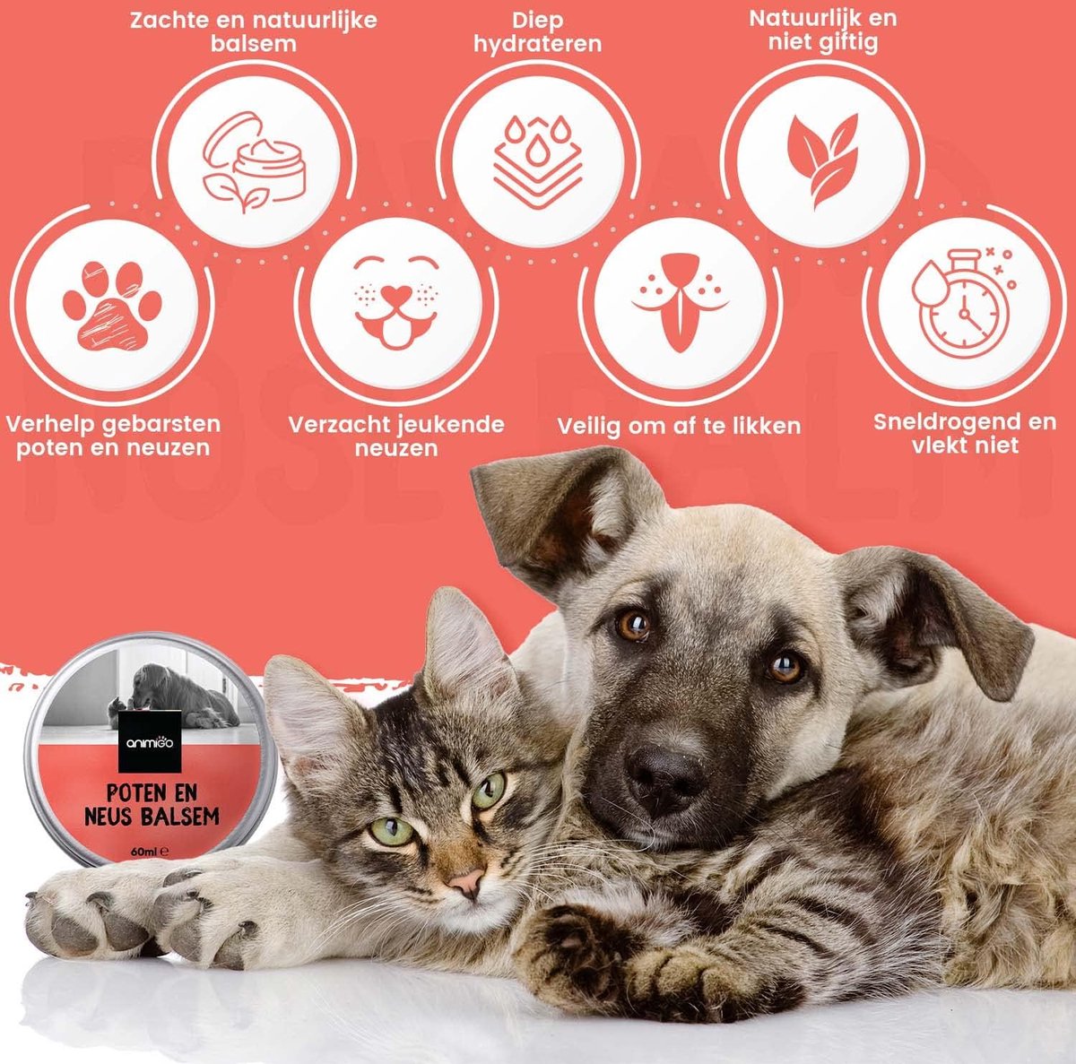 Animigo Neus & Potenbalsem voor honden en katten - Bij droge neus- en ...
