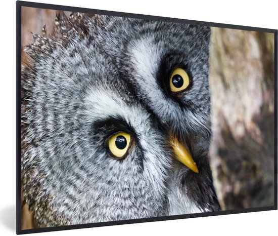 Fotolijst incl. Poster - Who's there - 30x20 cm - Posterlijst | bol