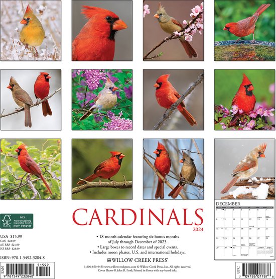 Cardinals 2024 12 X 12 Wall Calendar, Willow Creek | 9781549232848 ...