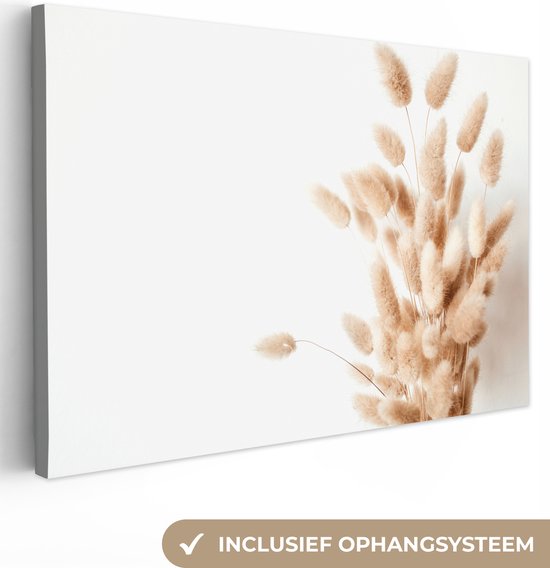 Canvas Schilderij Pampasgras - Pluim - Wit - Beige - 60x40 cm - Wanddecoratie | bol