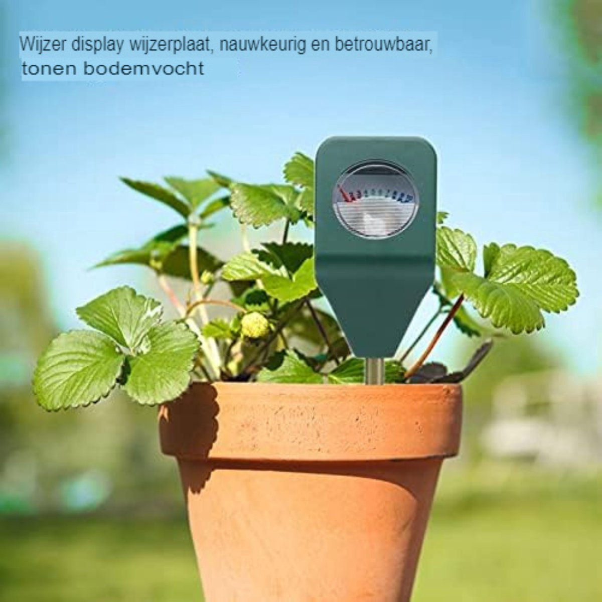 Vochtmeter Planten - Vochtigheidsmeter Planten | bol