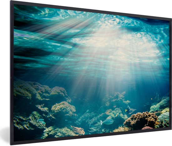 Fotolijst incl. Poster - Zee - Koraal - Zon - 30x20 cm - Posterlijst | bol