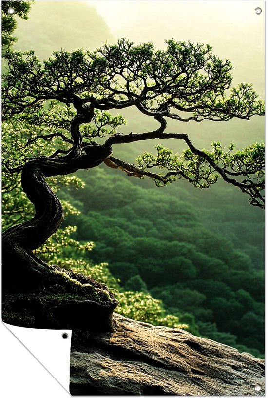 Bonsai op rots met landschap - Bonsai posters - Poster van buiten boom ...