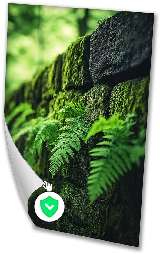 Varens en mos op muur - Natuur poster - Poster varens - Realisme ...