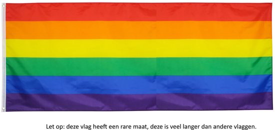 Regenboog banier 240x90CM - LGBT Gay Pride Vlag Groot - Regenboog Extra Lange Vlag -... | bol