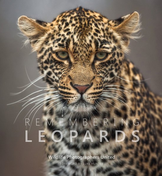 Remembering Leopards, Margot Raggett | 9781999643379 | Boeken | bol