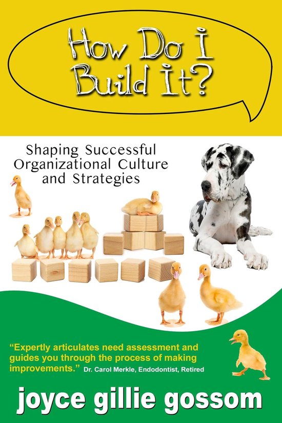 How Do I Build It? Shaping Successful Organizational Culture and ...