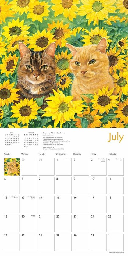 Ivory Cats - Lesley Anne Ivorys Katzen 2020 | bol.com