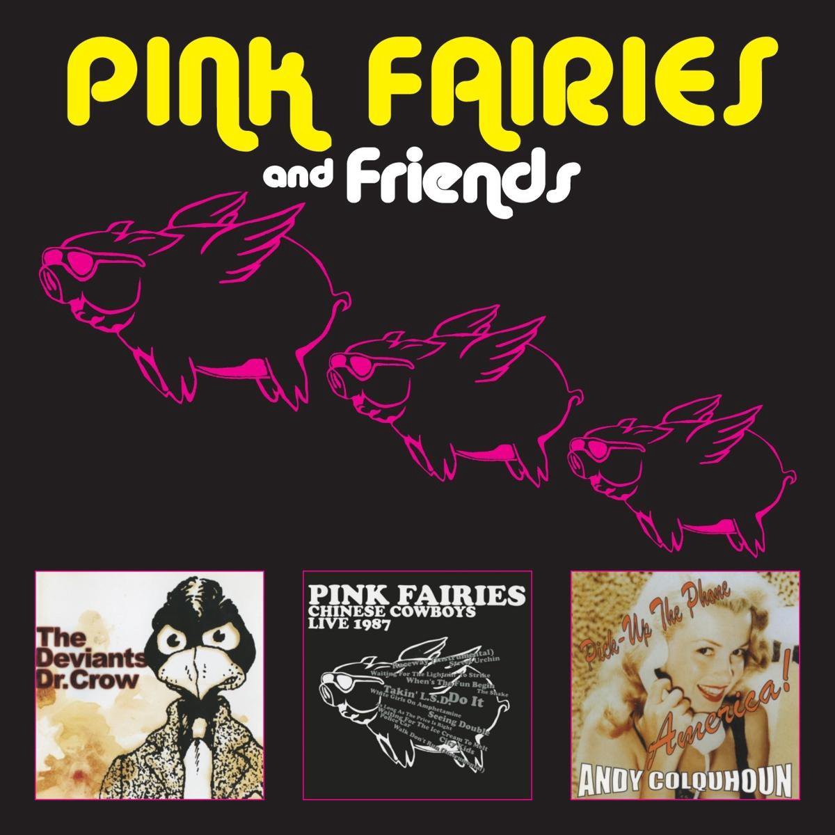 Pink Fairies And Friends, Pink Fairies | CD (album) | Muziek | bol.com