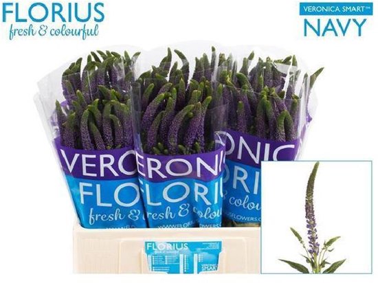 25x Veron.smart navy 60cm | bol