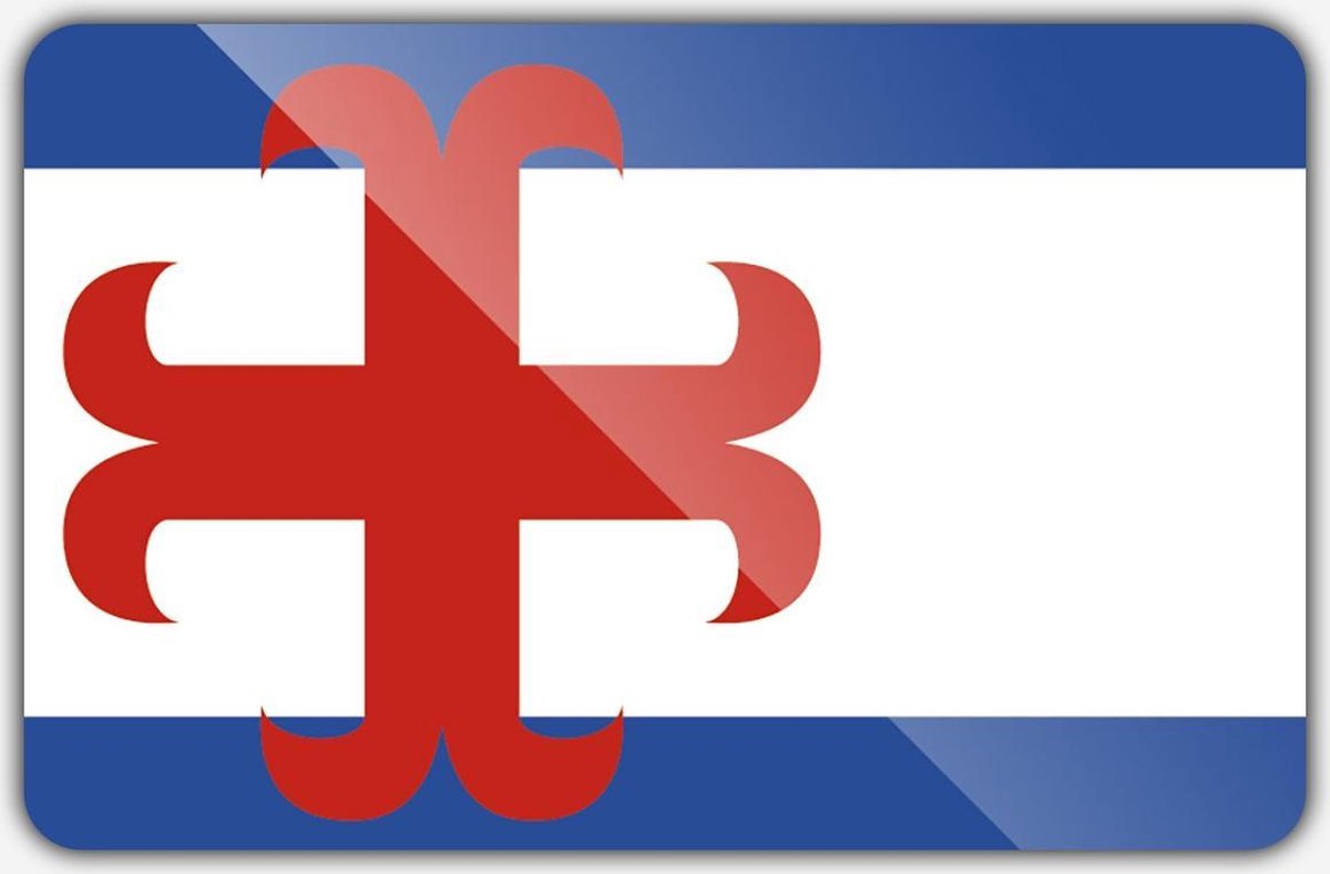 Vlag gemeente Zutphen - 100 x 150 cm - Polyester | bol.com