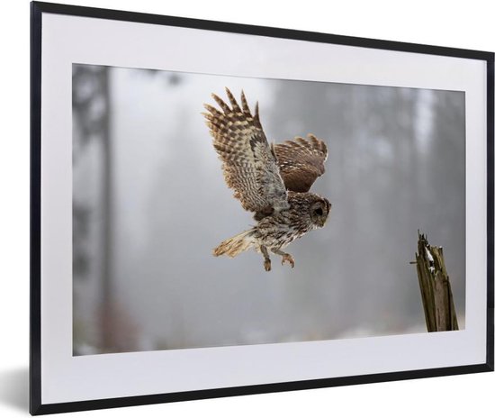 Fotolijst incl. Poster - Vliegende bosuil - 60x40 cm - Posterlijst ...