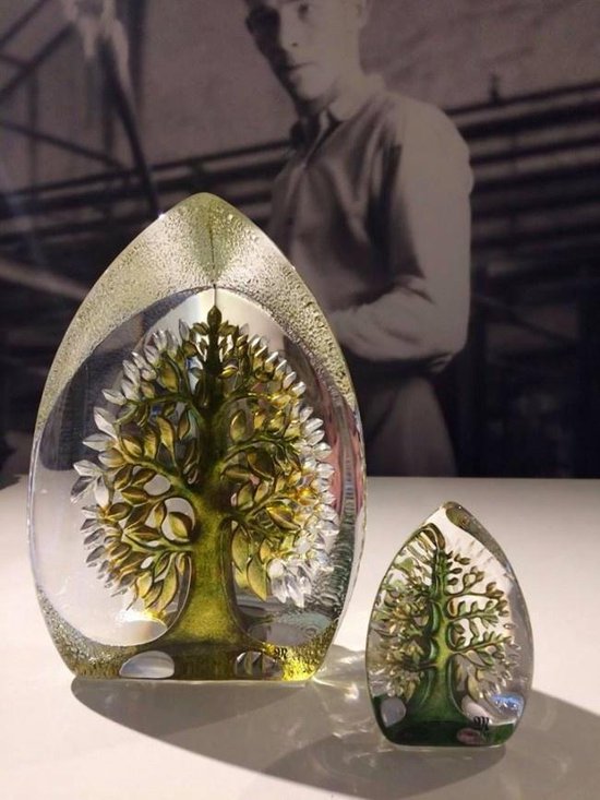 Mats Jonasson Levensboom / Family Tree | bol