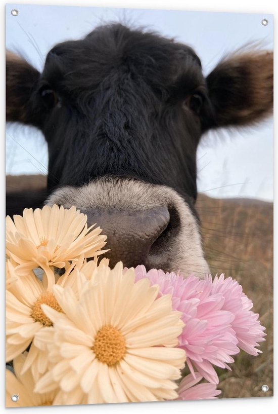 Affiche Jardin – Vache Brune avec Fleurs - 80x120cm Photo sur Affiche ...