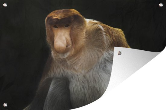 Affiche de jardin Un singe trompe sur fond noir 60x40 cm - petit ...