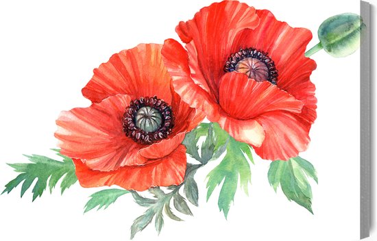 Schilderijkoning - Canvas Schilderij Rode Klaprozen Geschilderd Met ...