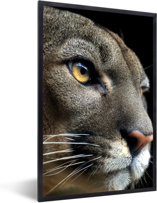 Fotolijst incl. Poster - Poema - Ogen - Zwart - 60x90 cm - Posterlijst ...