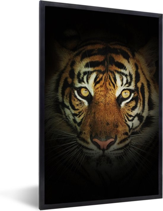 Fotolijst incl. Poster - Tijger - Licht - Ogen - 60x90 cm - Posterlijst ...