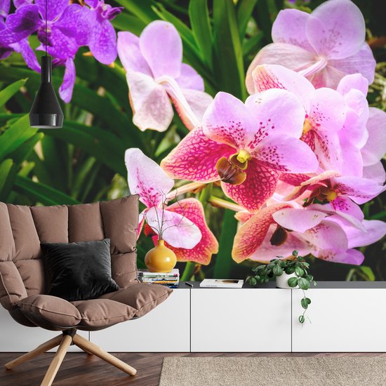Fotobehang Kleurrijke Orchideeën 3D | bol