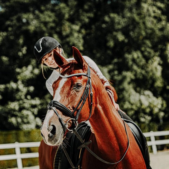 Deelbare leren paardrijteugels 280 cm zonder stang voor soepele ...