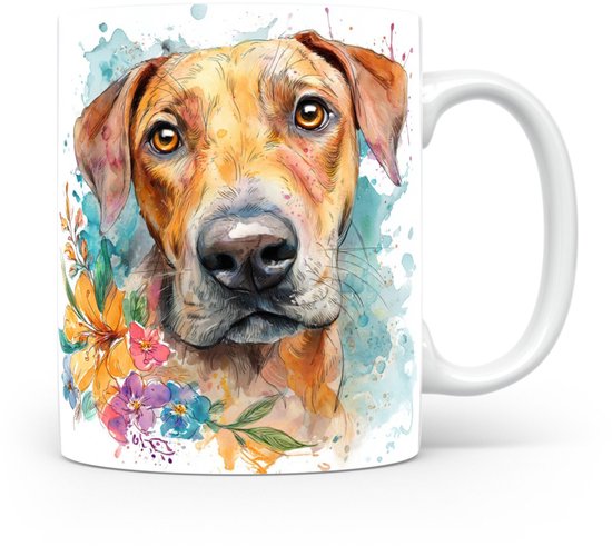 Beker Tosa Inu | bol