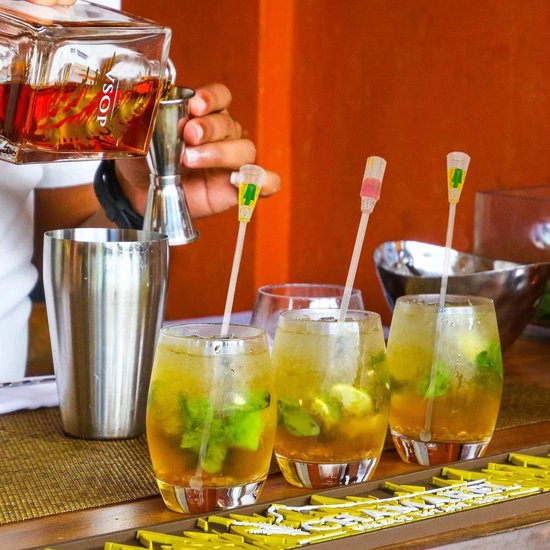 Cocktail Swizzle Stirrer Sticks – Pak van 10 – Kleurrijke Acryl ...