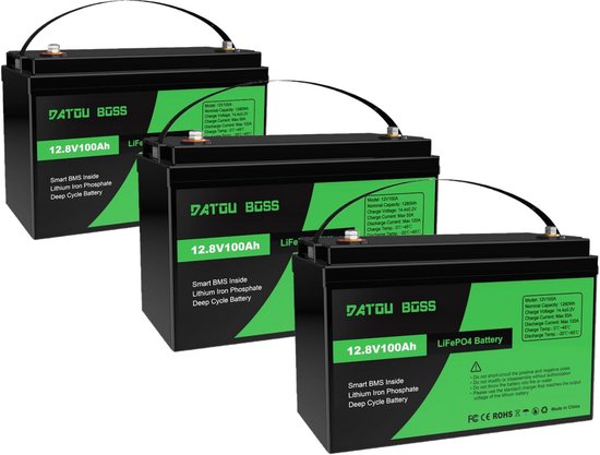 Lithium LifePO4 Accu 12V 50Ah met 50A BMS voor Boot, Campers, en Off ...