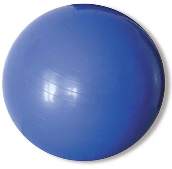 Ology Bal Blauw 65 cm | bol