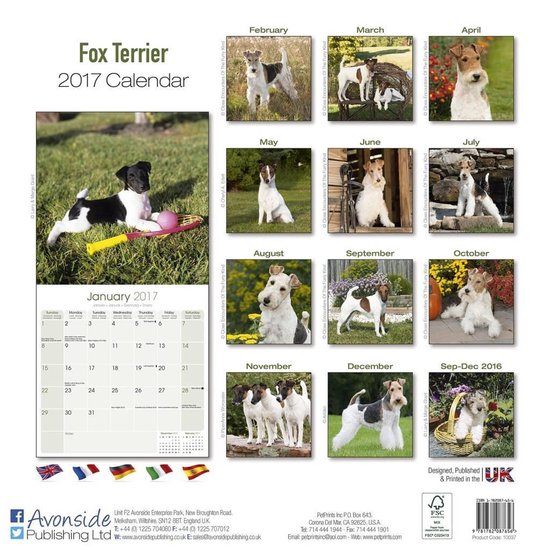 Fox Terrier Calendar 2017 | bol