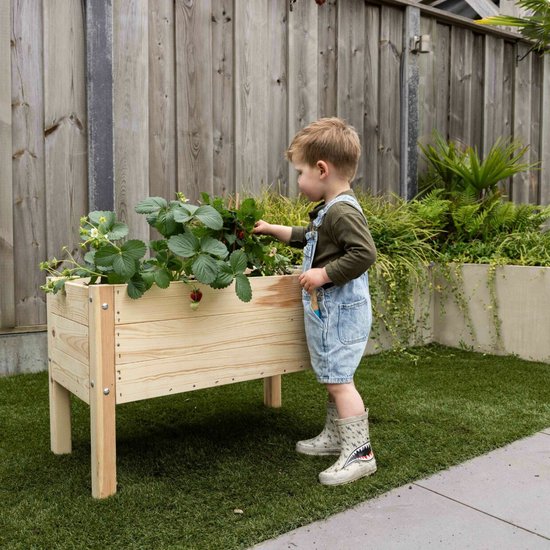 Esschert-Design-Plantenbak-voor-kinderen-65-L-naturel | bol