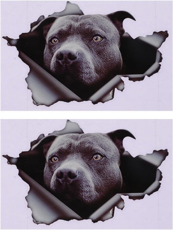 Pitbull Car Stickers - Bumpers - Reflective - Dog - Car Window ...