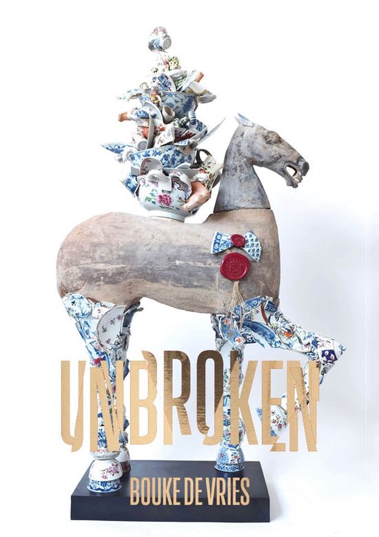 Bouke de Vries Unbroken, Bouke De Vries | 9789462626287 | Boeken | bol