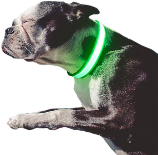 Pawello LED-halsband L (40–60 cm) – USB-oplaadbaar, waterdicht ...