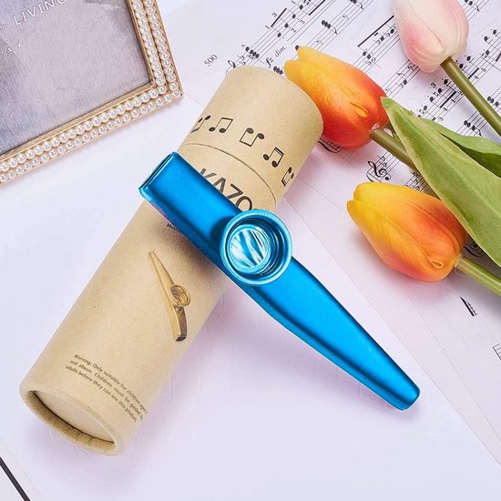 Metalen Kazoo Blaasinstrument met 3 Membranen en Cadeaubox - Eenvoudig ...