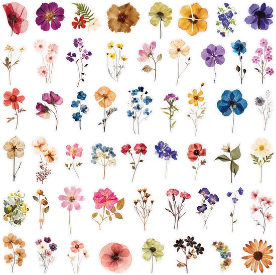 Stickers – Set van 50 transparante – reliëf botanische stickers (PET ...