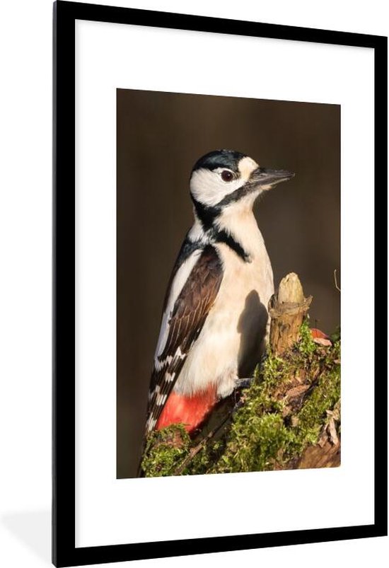 Fotolijst incl. Poster - Een grote bonte specht in de zon - 60x90 cm ...