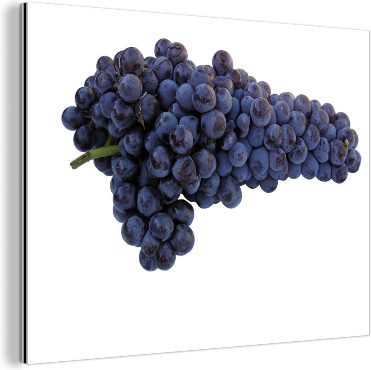 Une seule grappe de raisin violet sur fond blanc Aluminium 160x120 cm ...