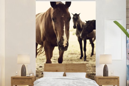 Behang - Fotobehang Paarden sepia fotoprint - Breedte 170 cm x hoogte ...
