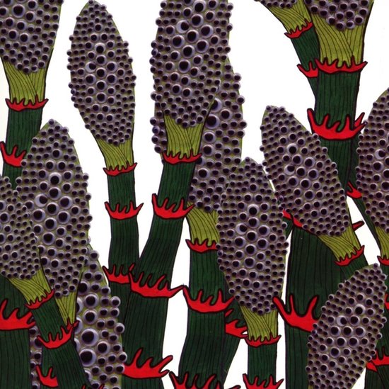 Part Chimp - IV (CD), Part Chimp | CD (album) | Muziek | bol